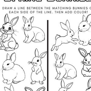 Bunnies Coloring Sheet Early Math Literacy Matching Worksheet Memory ...