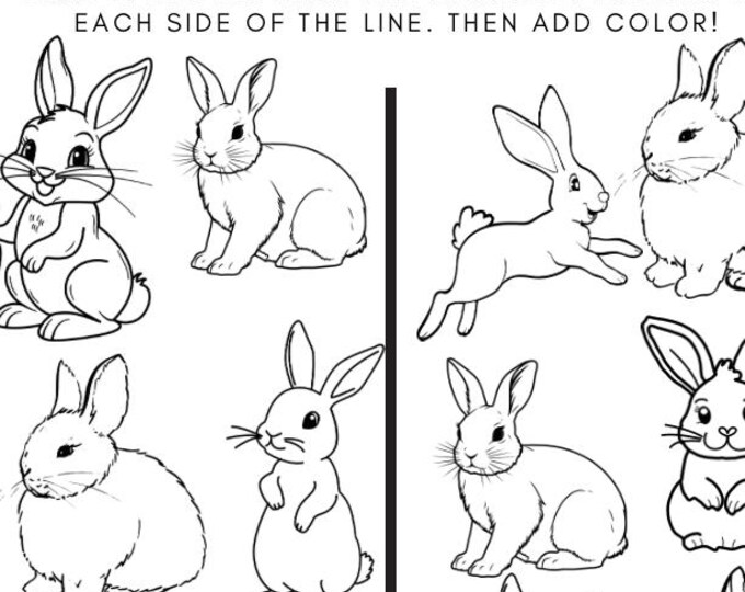 Bunnies Coloring Sheet Early Math Literacy Matching Worksheet Memory ...
