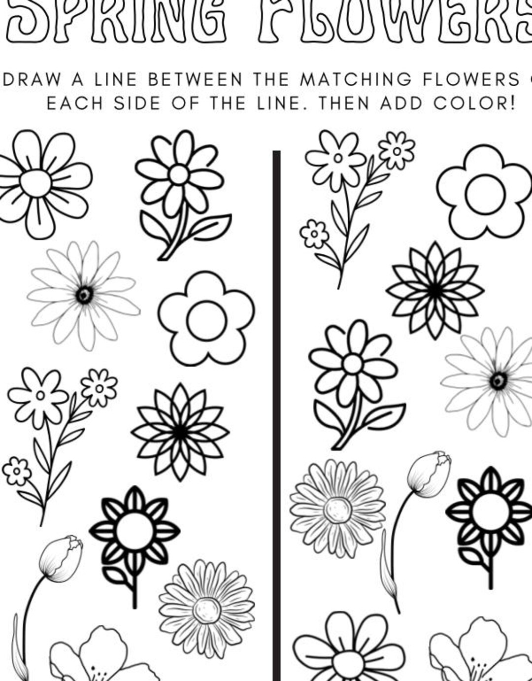 Spring Flower Matching and Coloring Sheet - Etsy