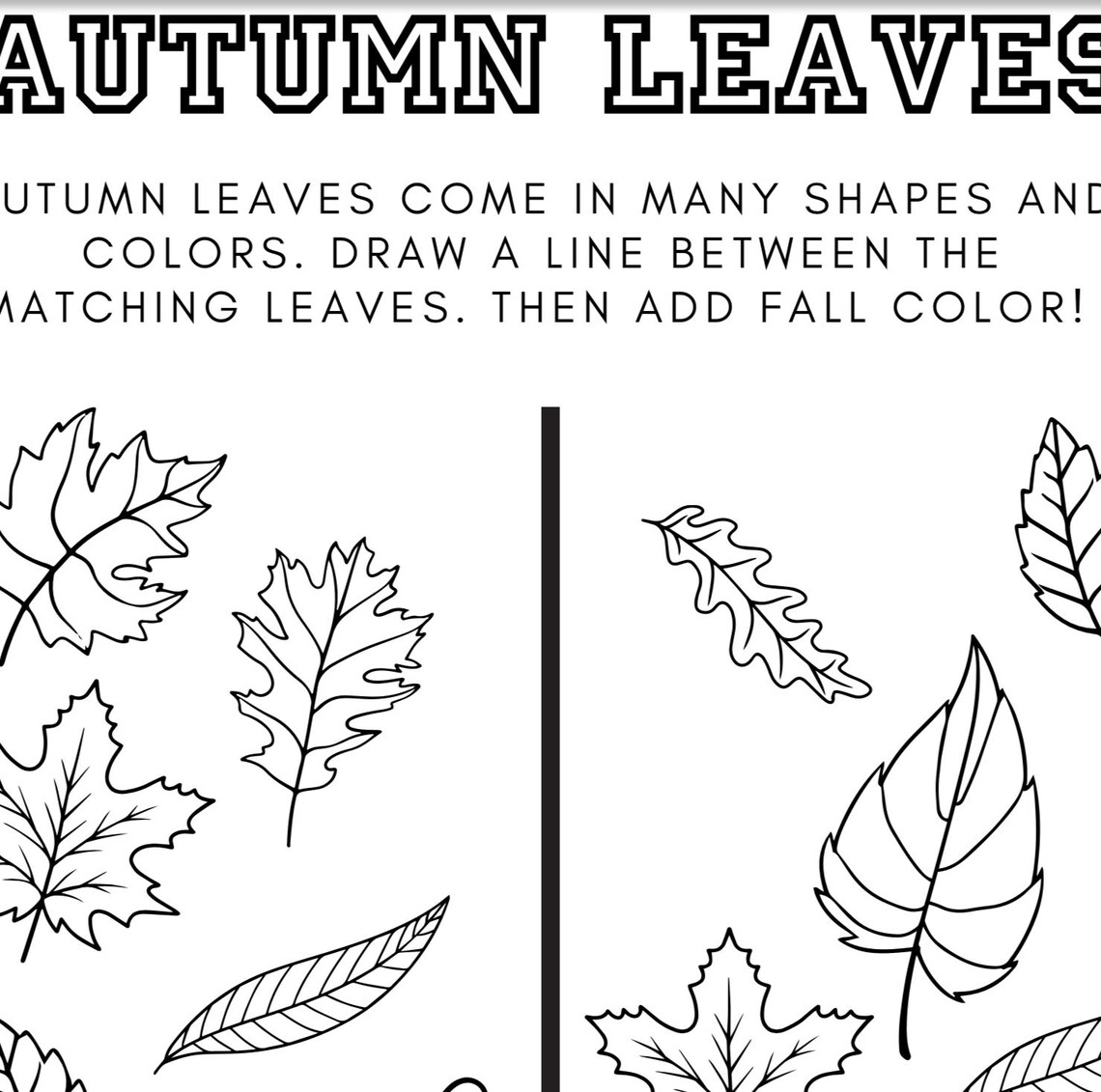 Autumn Leaves Matching Worksheet - Fall Activity Fun - Etsy