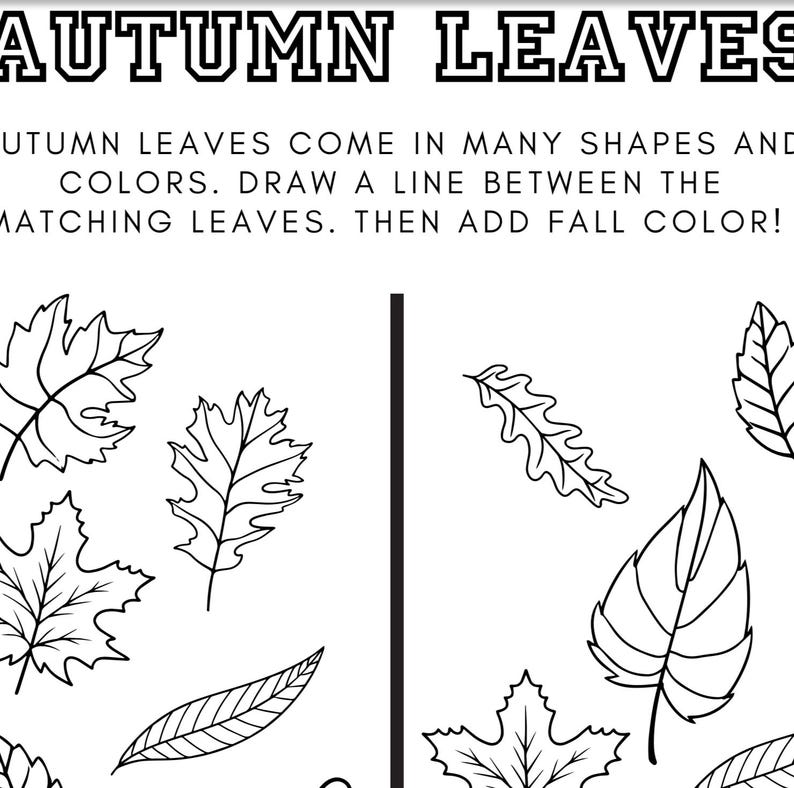 Autumn Leaves Matching Worksheet - Fall Activity Fun - Etsy