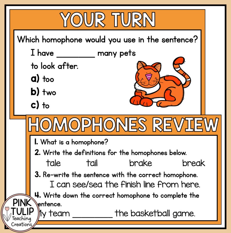 Homophones Powerpoint - Guided Teaching - Etsy