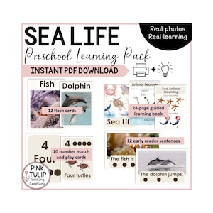 Preschool Sea Life Activity Bundle | Printable Workbook, Flash Cards ...