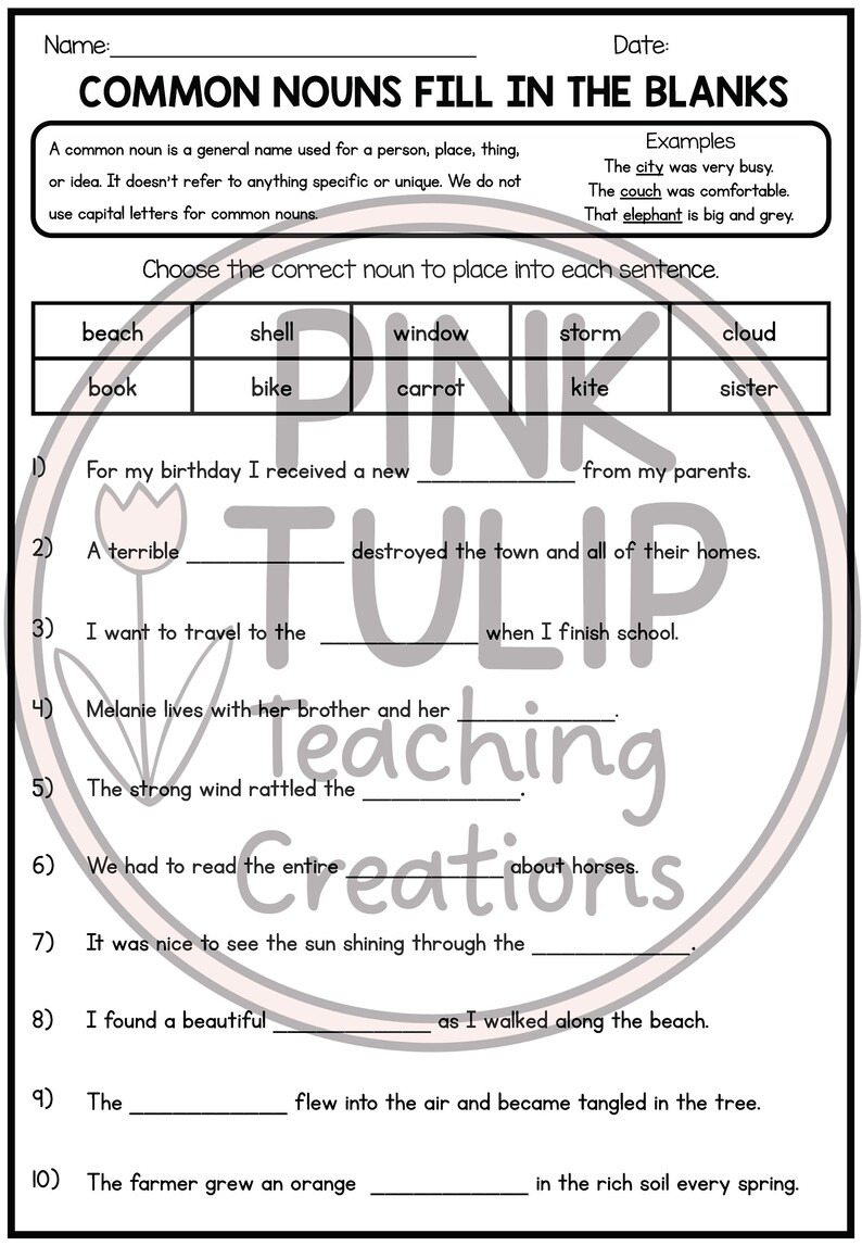 Common Nouns Worksheet Pack No Prep Printables With Answers - Etsy