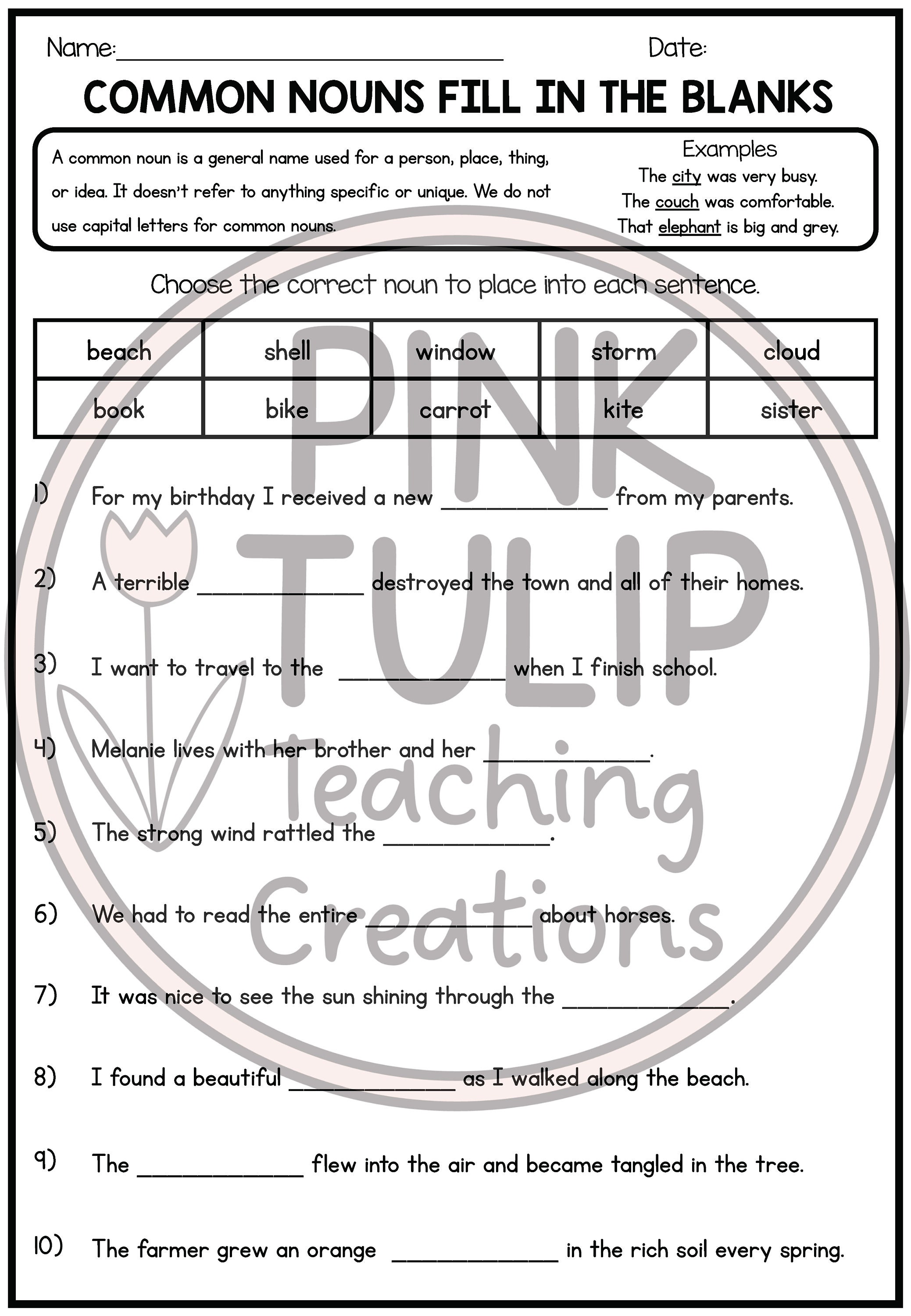 Common Nouns Worksheet Pack No Prep Printables With Answers - Etsy