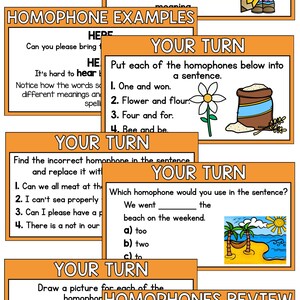Homophones Powerpoint - Guided Teaching - Etsy