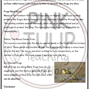 Explanation Text Why Are Frogs Slimy - Etsy