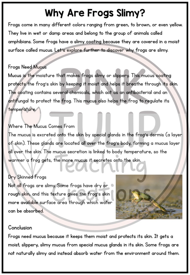 Explanation Text - Why Are Frogs Slimy? - Etsy