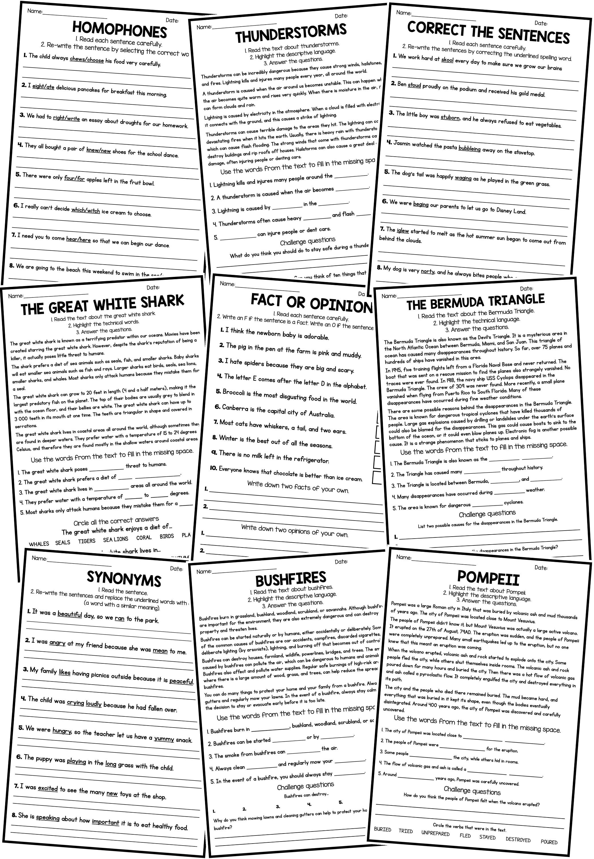 Reading Comprehension Activities Information Reports With Grammar and ...