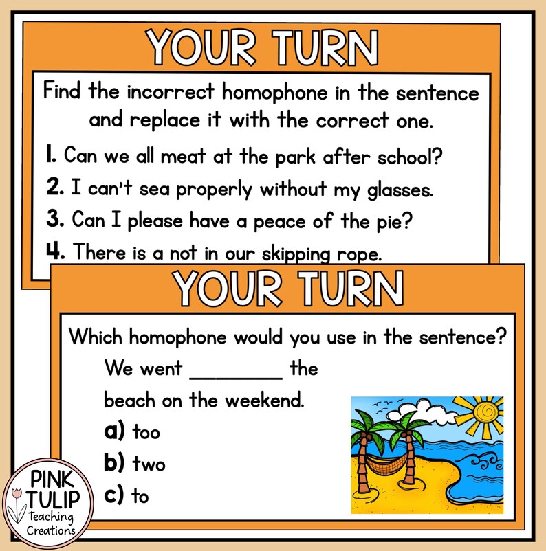 Homophones Powerpoint - Guided Teaching - Etsy