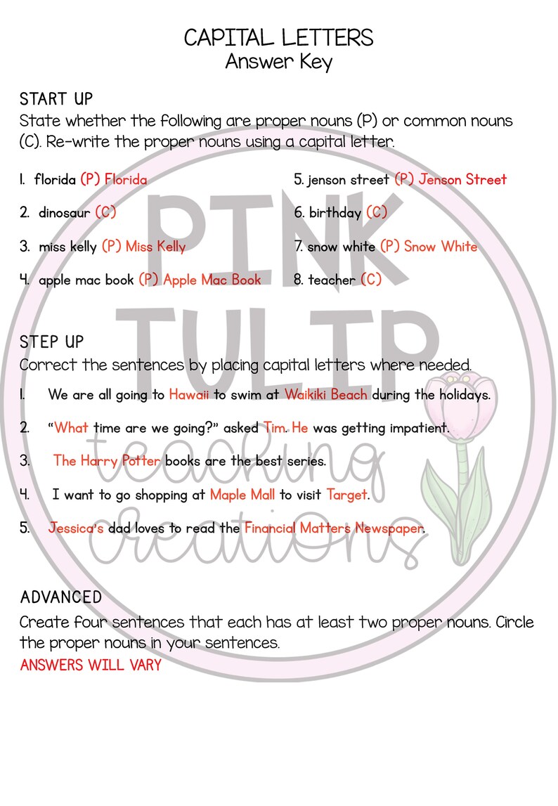 Nouns Pronouns and Capital Letters Grammar Worksheets With - Etsy