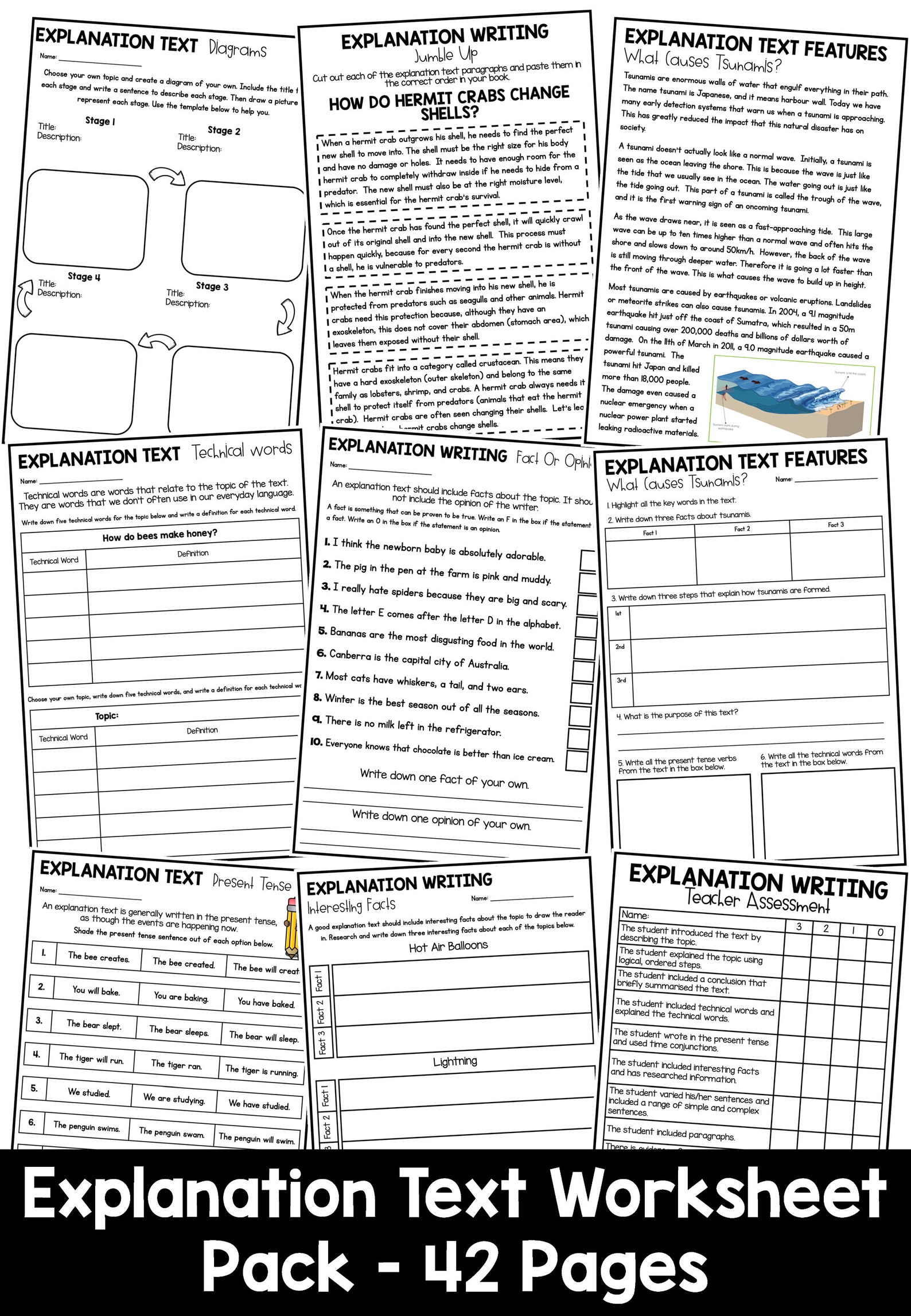 Explanation Text - Reading and Writing Bundle - Etsy