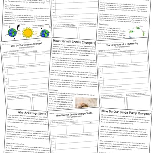 Explanation Text Examples - Ten Reading Samples With Comprehension - Etsy