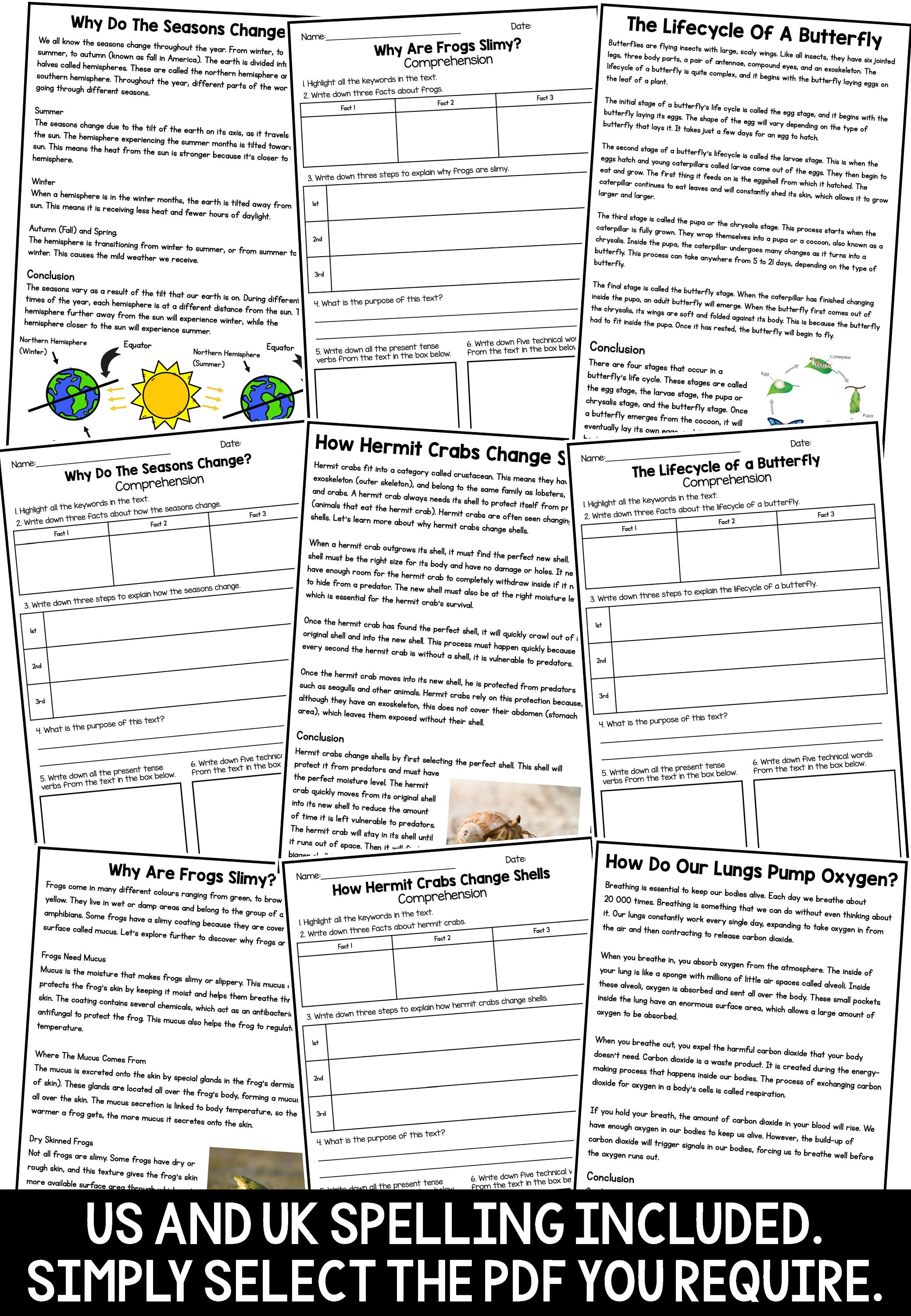 Explanation Text Examples Ten Reading Samples With Comprehension - Etsy