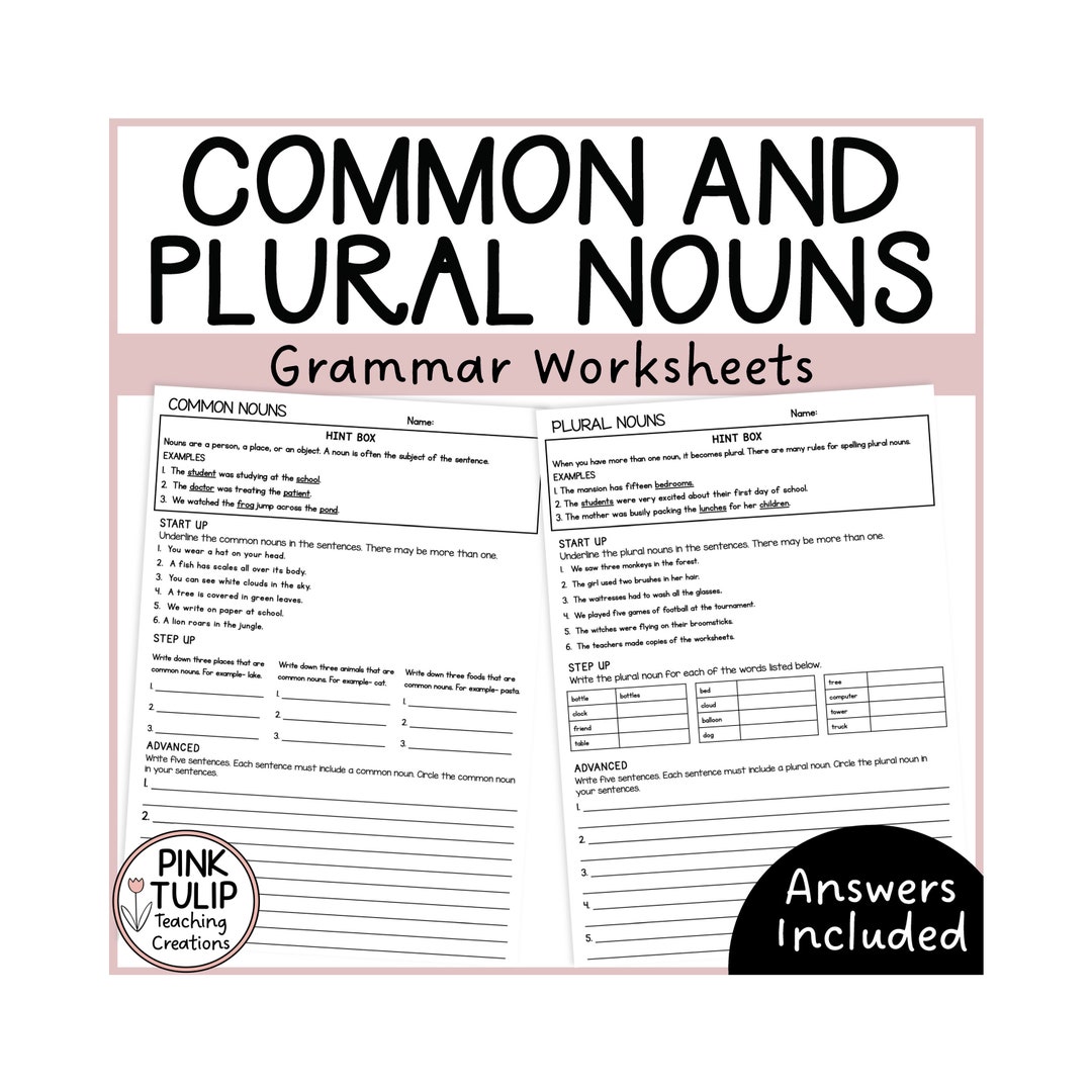 Common Nouns and Plural Nouns - Grammar Worksheets With Answers - Etsy