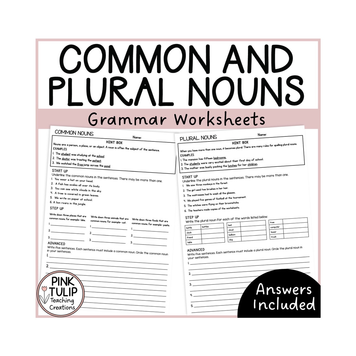 Common Nouns and Plural Nouns - Grammar Worksheets With Answers - Etsy ...