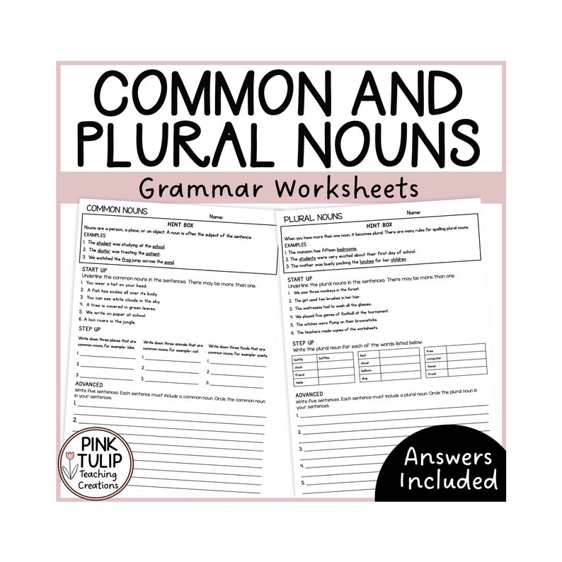 Common Nouns and Plural Nouns - Grammar Worksheets With Answers - Etsy ...