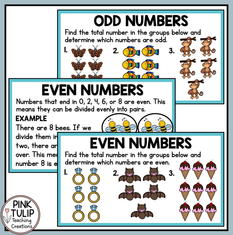 Odd and Even Numbers - Teaching Powerpoint Presentation - Etsy