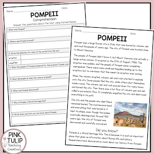 Information Text Examples - Ten Reading Samples With Comprehension - Etsy
