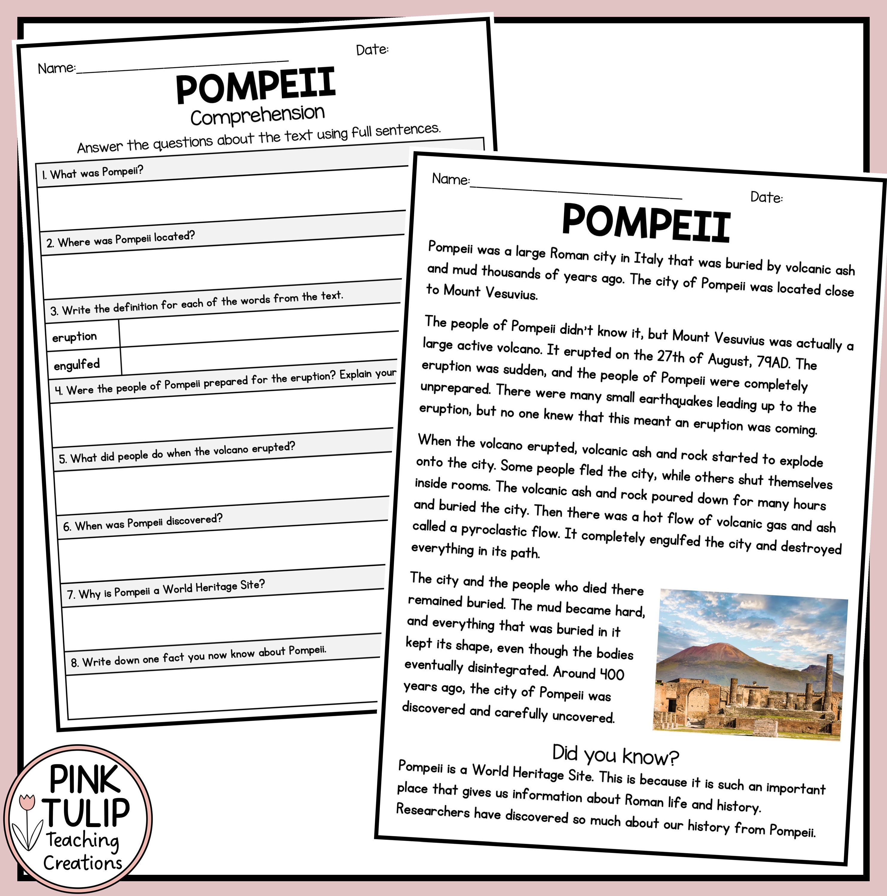 Information Text Examples - Ten Reading Samples With Comprehension - Etsy
