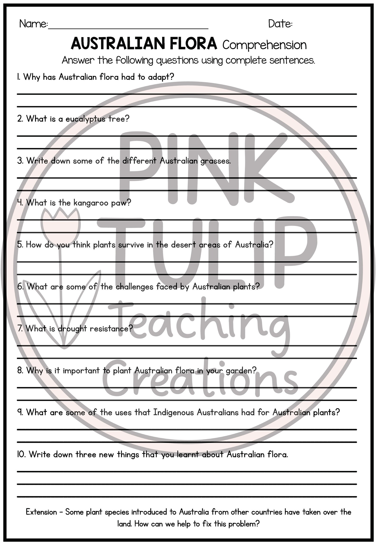 2D Shapes, Lines, and Patterns - Worksheet Pack - Etsy