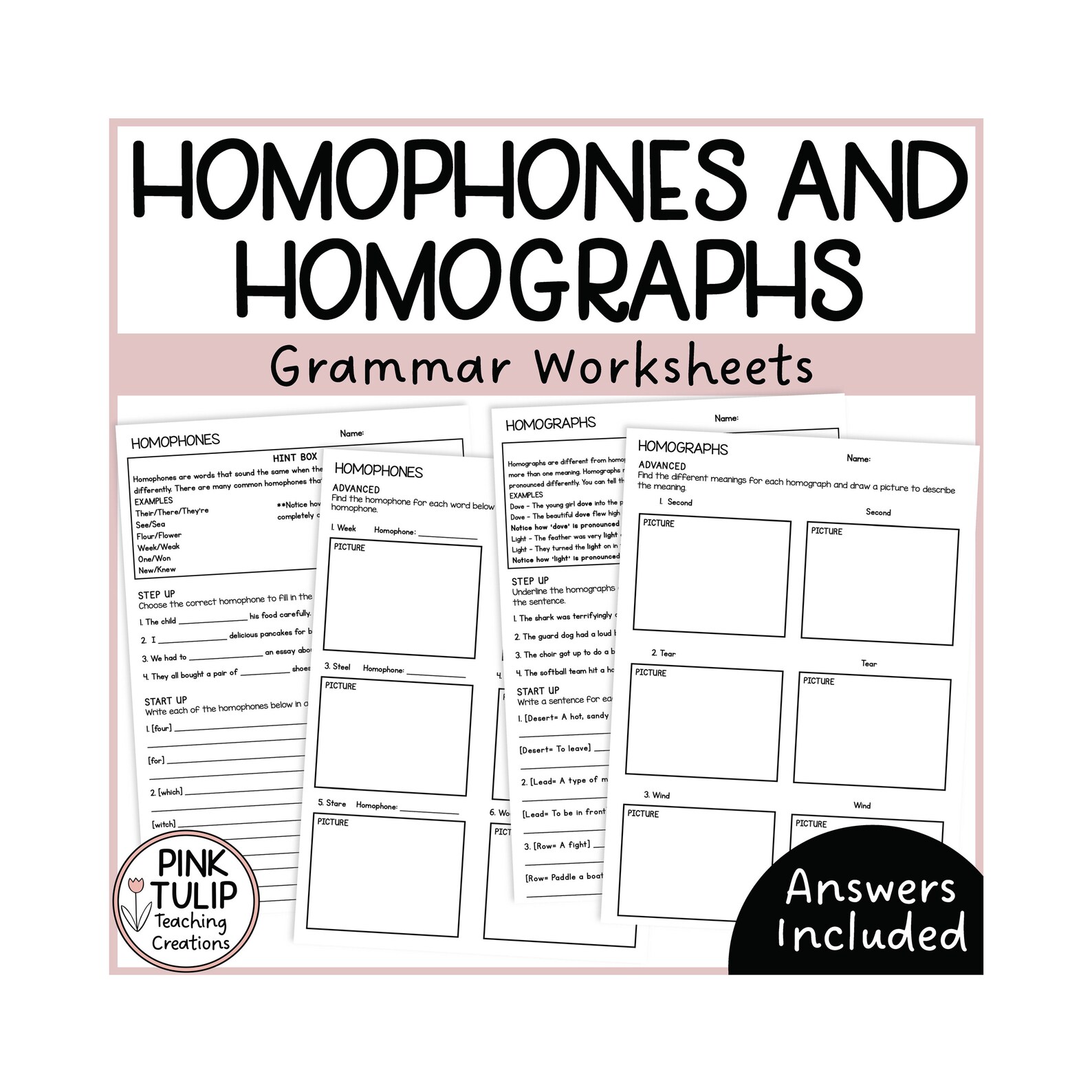Homophones and Homographs - Grammar Worksheets With Answers - Etsy
