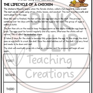 Explanation Text Writing Worksheet Pack - No Prep Lesson Ideas - Etsy
