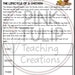 Explanation Text Writing Worksheet Pack - No Prep Lesson Ideas - Etsy