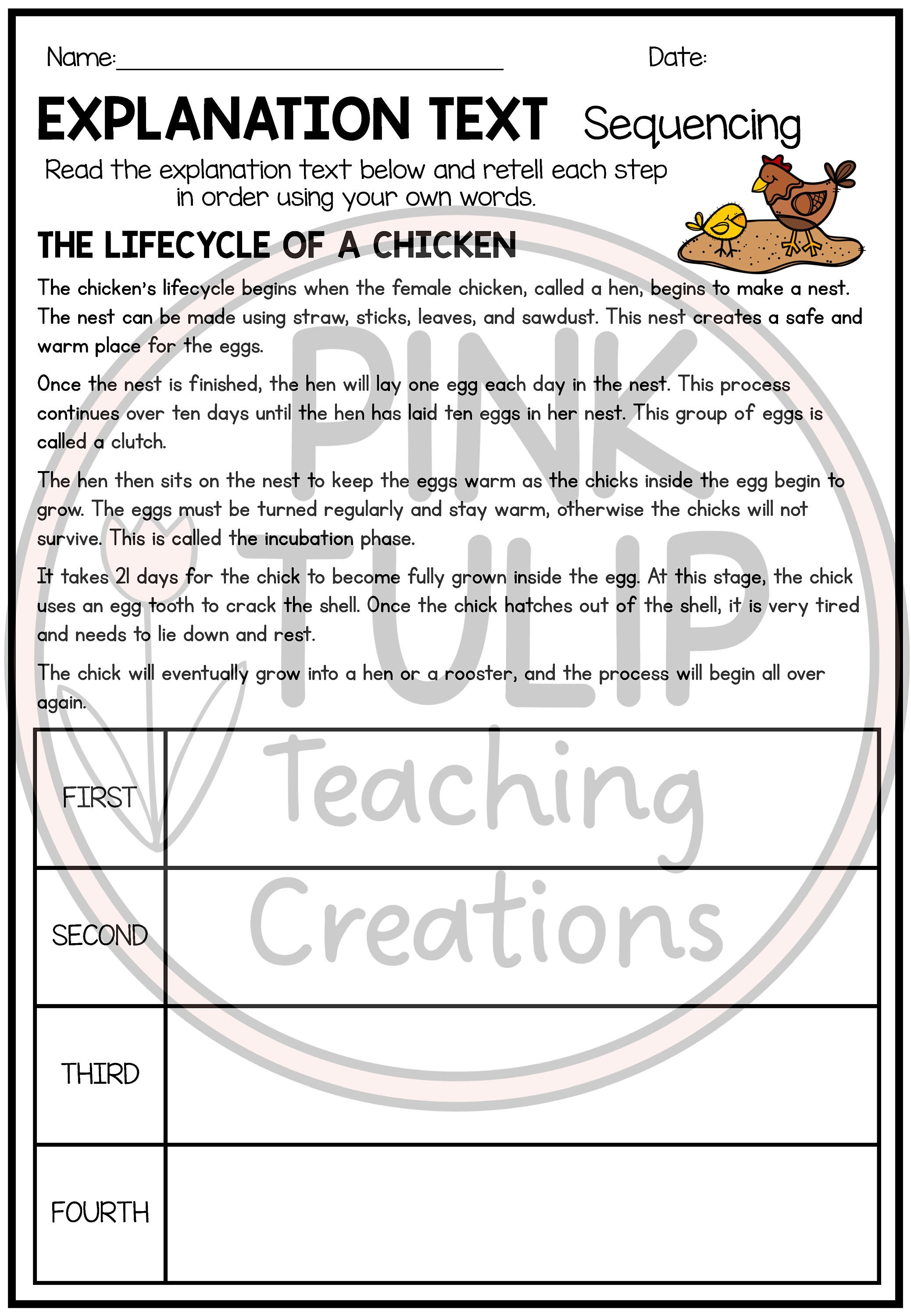 Explanation Text Writing Worksheet Pack - No Prep Lesson Ideas - Etsy