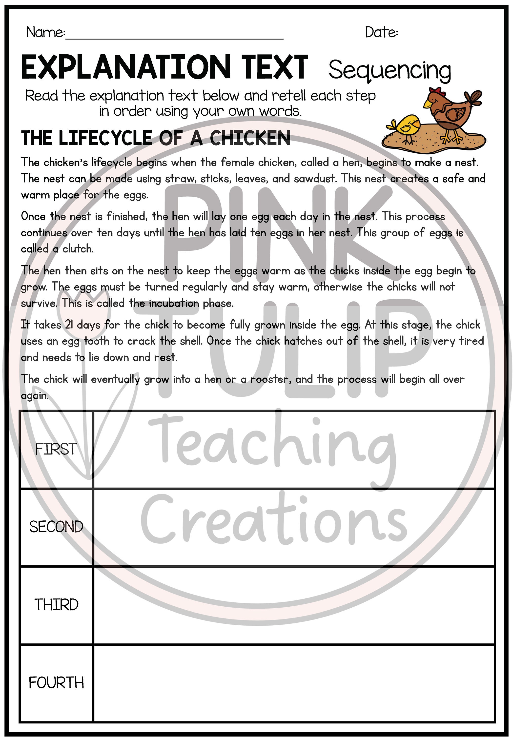 Explanation Writing - Sequencing Worksheets - Etsy