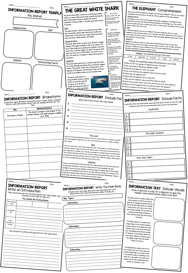 Information Text Reading and Writing Worksheet Pack No Prep Lesson ...
