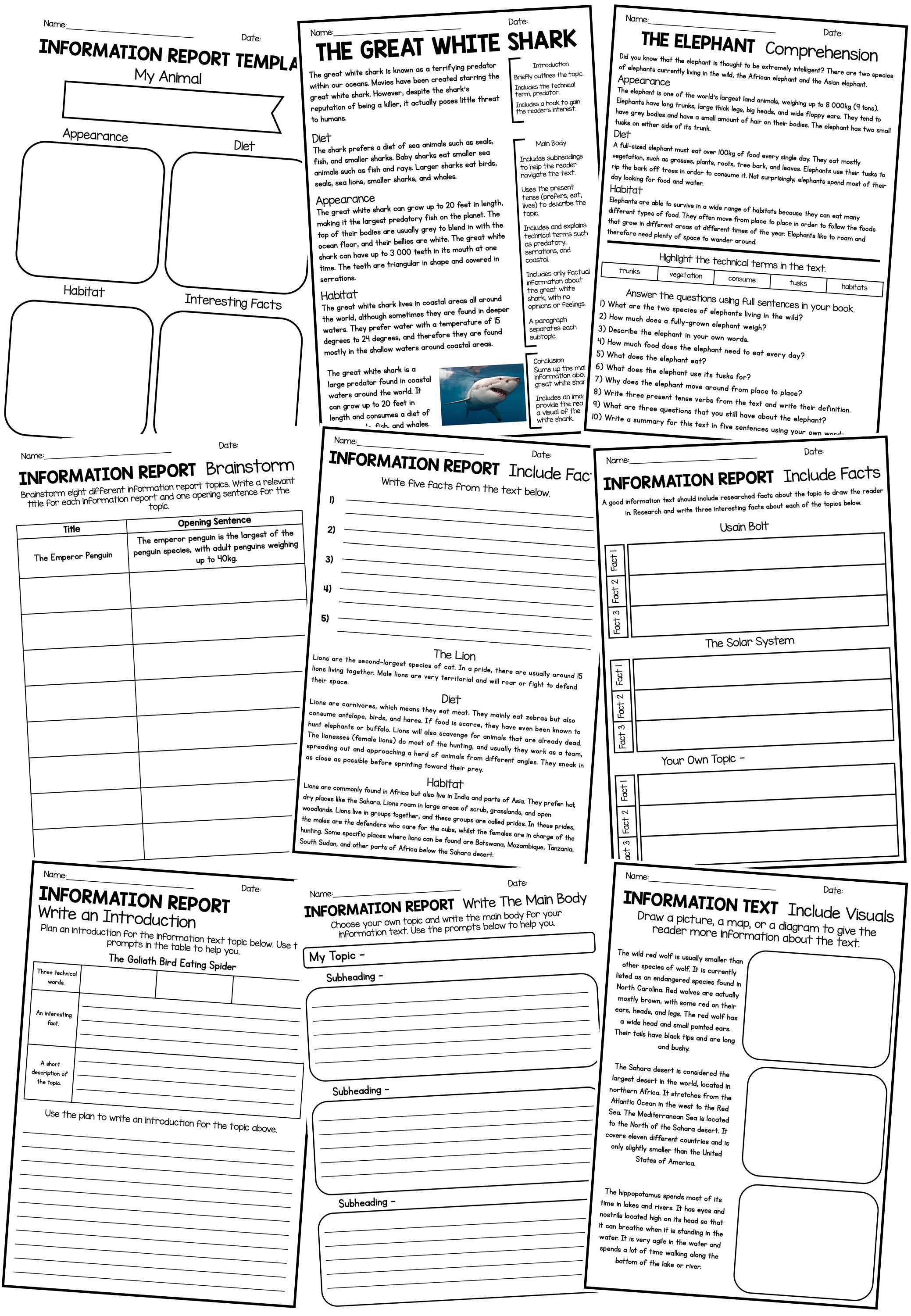 Information Text Reading and Writing Worksheet Pack No Prep Lesson ...