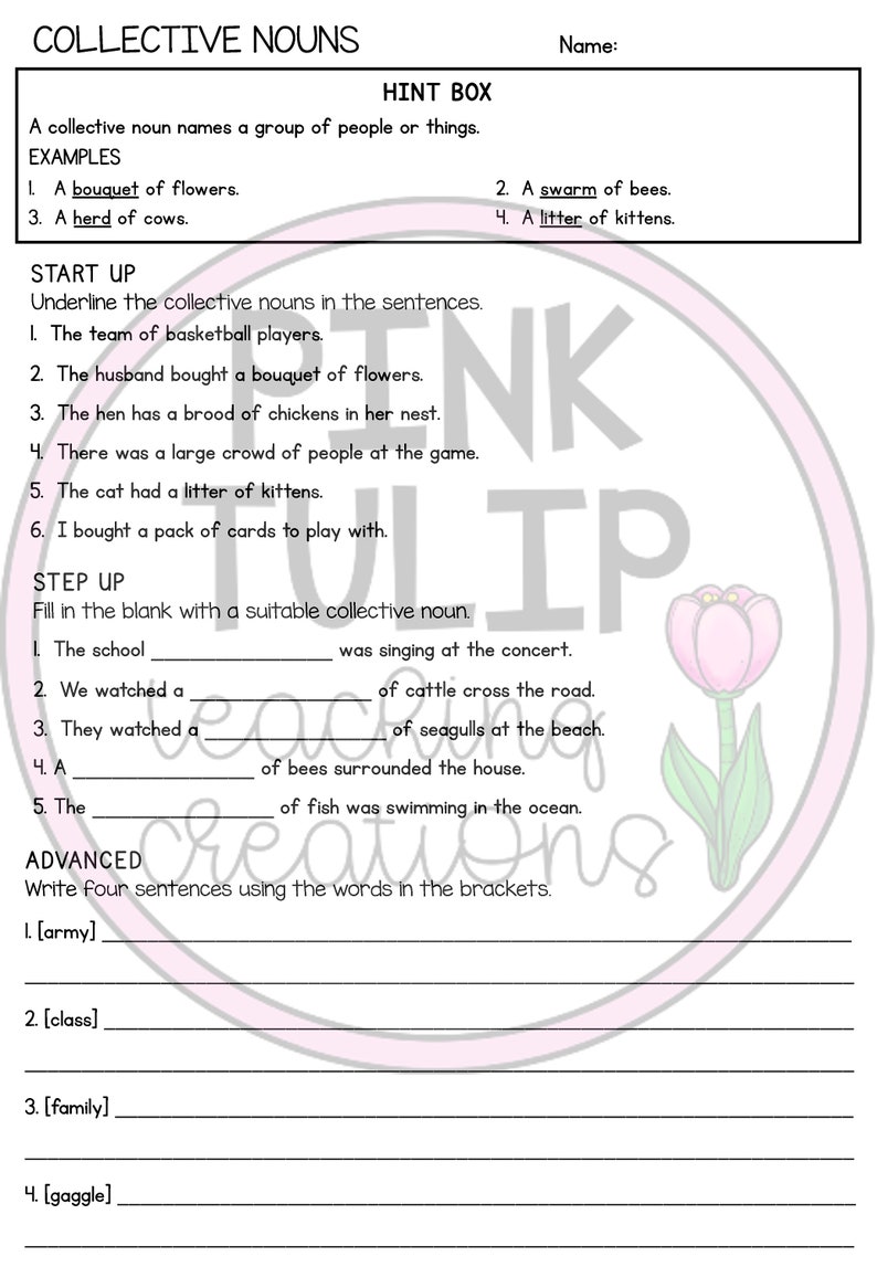 Irregular Plurals and Collective Nouns Grammar Worksheets - Etsy