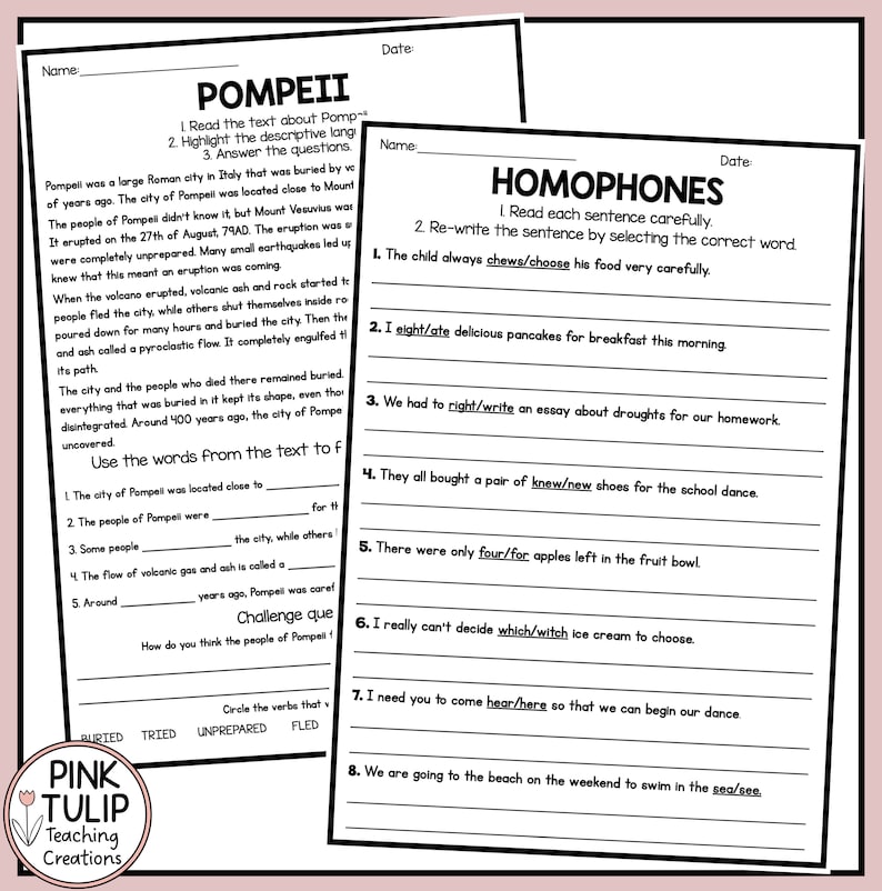 Reading Comprehension Activities - Information Reports With Grammar and ...