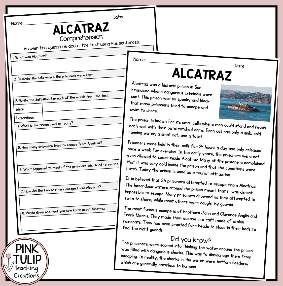 Information Text Examples - Ten Reading Samples With Comprehension - Etsy