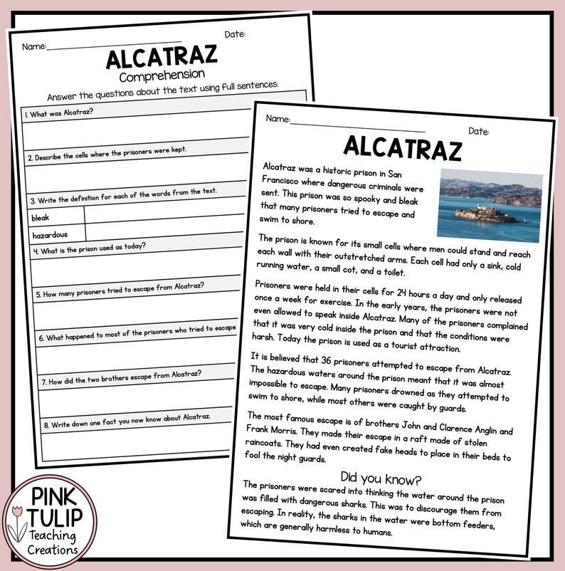 Information Text Examples - Ten Reading Samples With Comprehension - Etsy