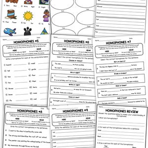 Homophones - Worksheet Pack With Answers - Etsy