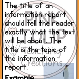 Information Text Posters - Classroom Decor - Etsy