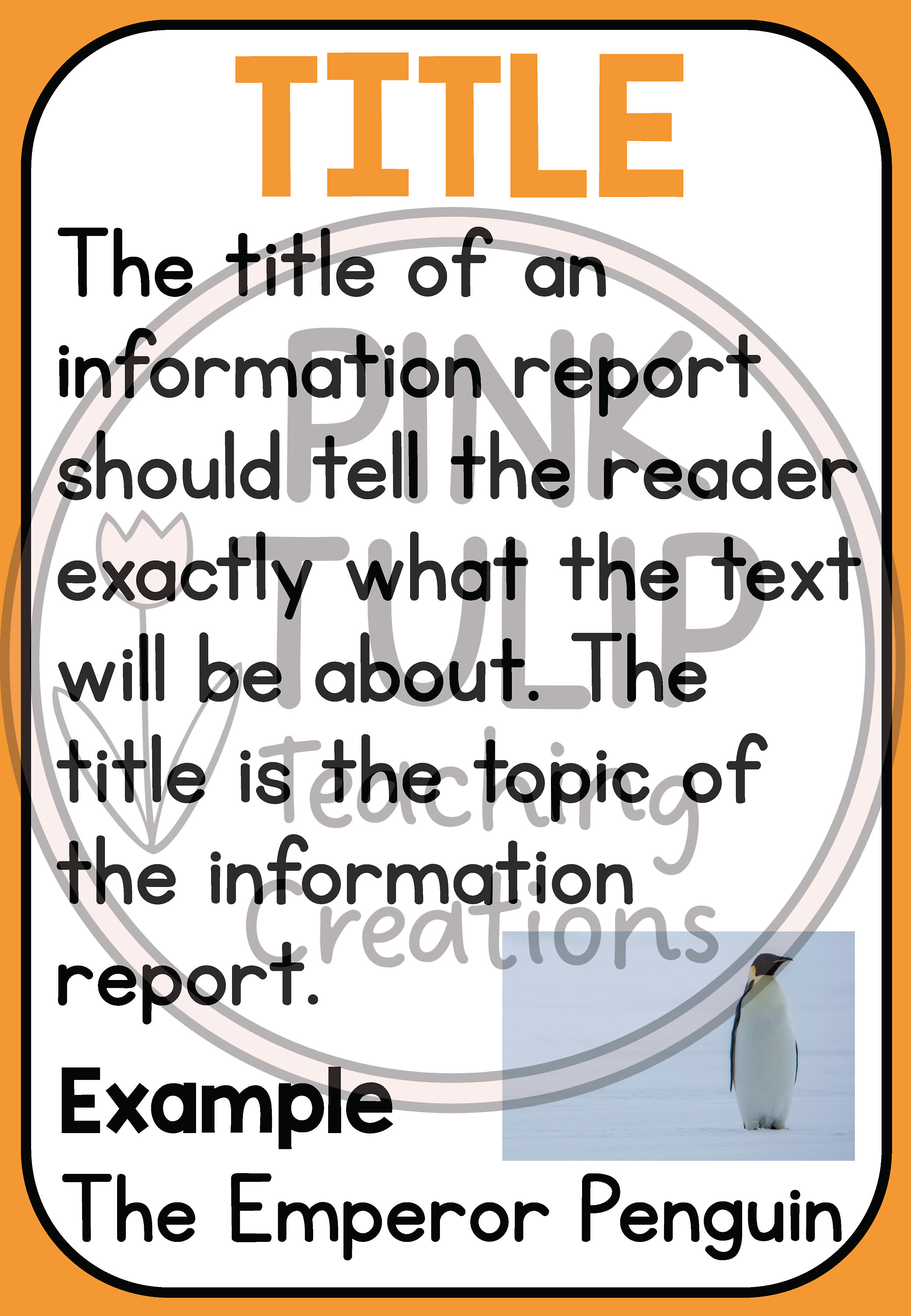 Information Text Posters - Classroom Decor - Etsy