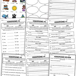 Homophones Bundle - Worksheet Pack and Guided Teaching Powerpoint - Etsy