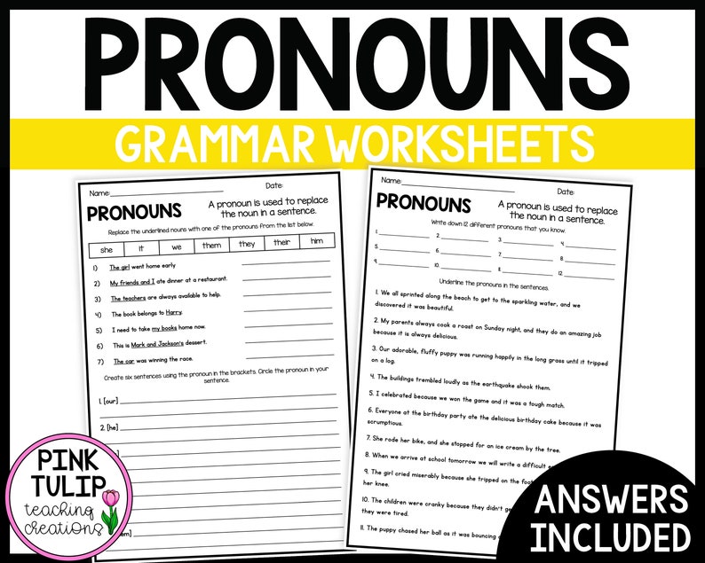 Understanding Pronouns Worksheets No Prep Printables - Etsy
