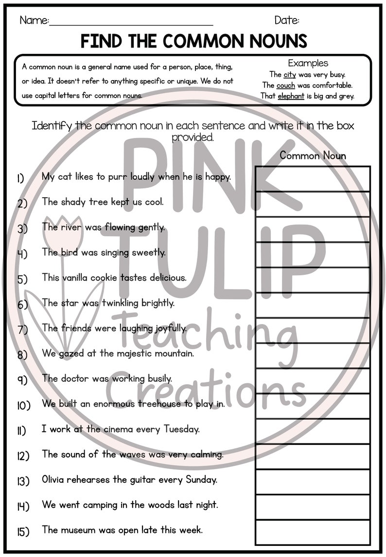 Common Nouns Worksheet Pack No Prep Printables With Answers - Etsy