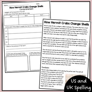 Explanation Text Examples - Ten Reading Samples With Comprehension - Etsy