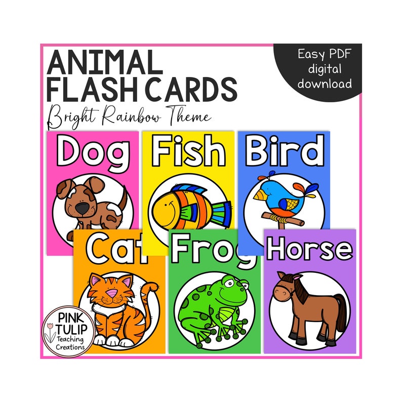 Animal Flash Cards Bright Rainbow Theme - Etsy