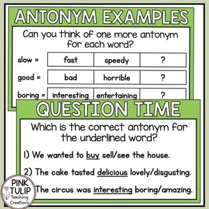 Antonyms Grammar Powerpoint - Guided Teaching - Etsy
