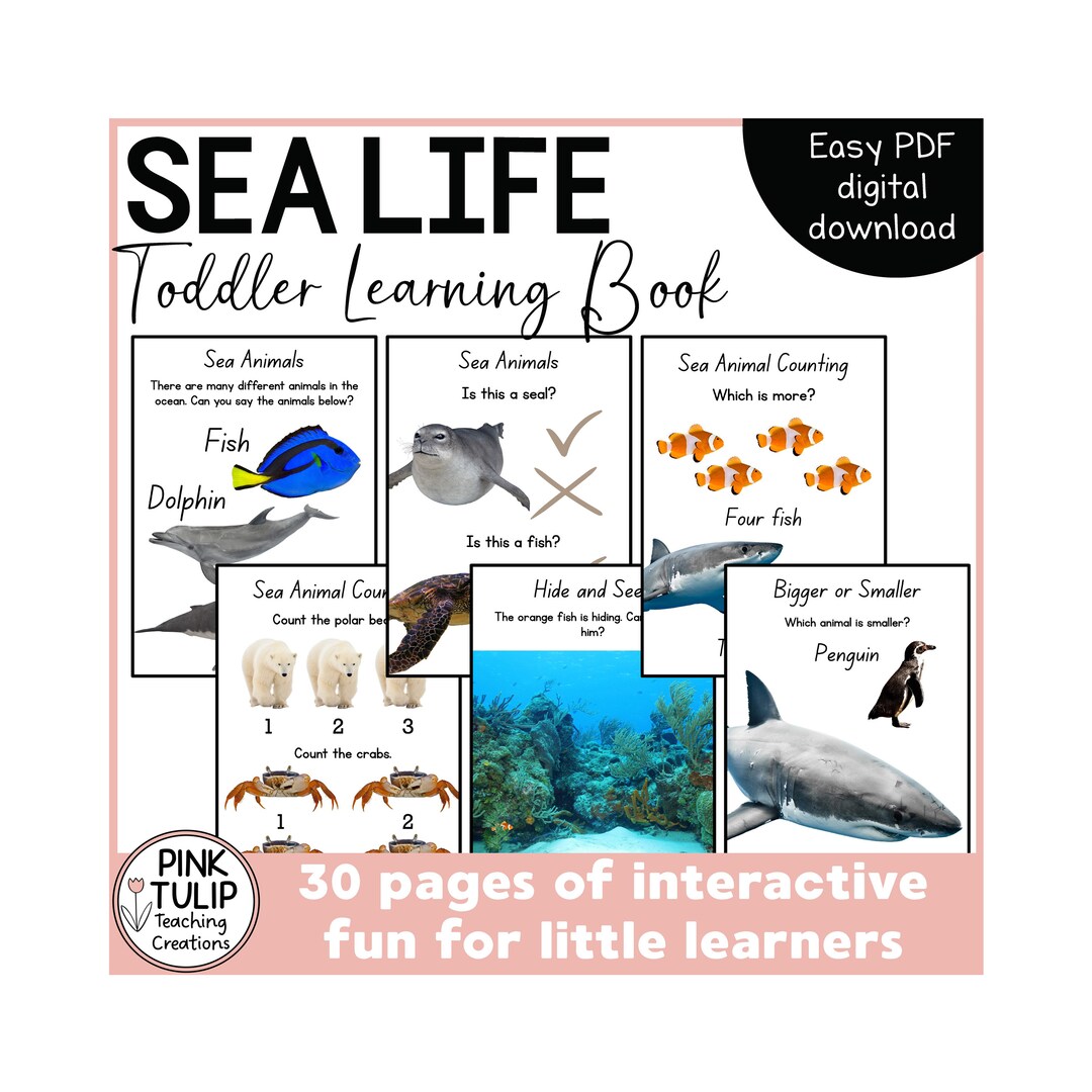 Toddler Learning Book - Sea Life - Etsy