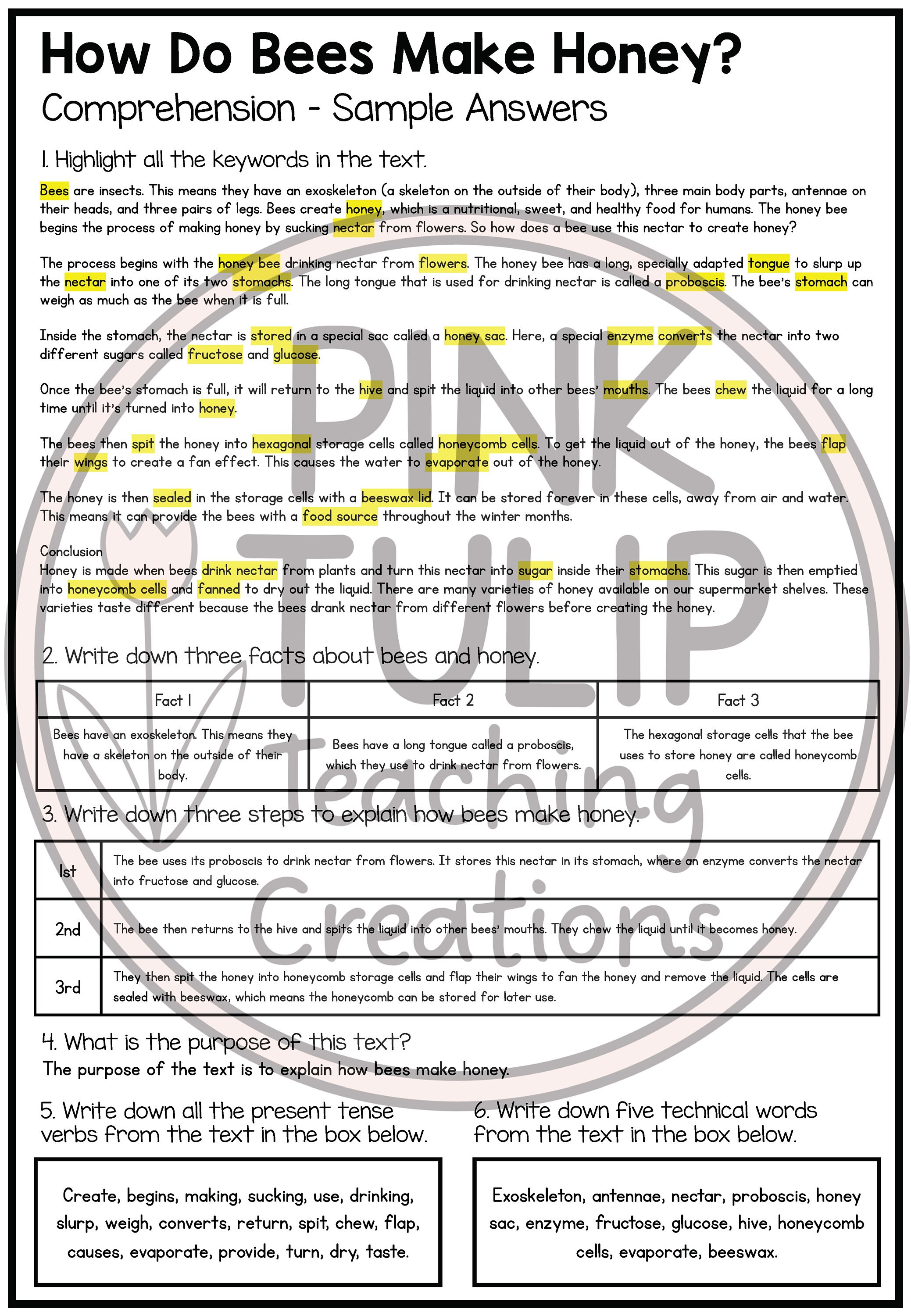 Explanation Text How Do Bees Make Honey - Etsy