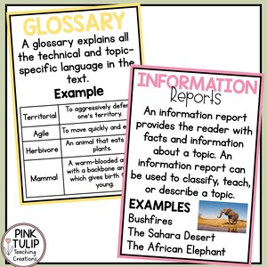 Information Text Posters Classroom Decor - Etsy
