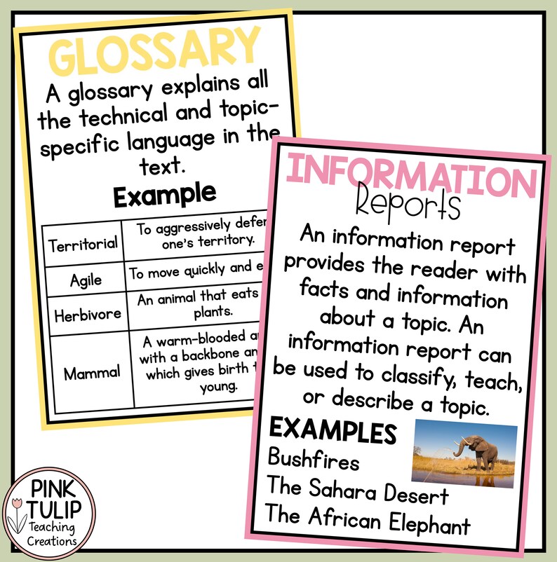 Information Text Posters Classroom Decor - Etsy