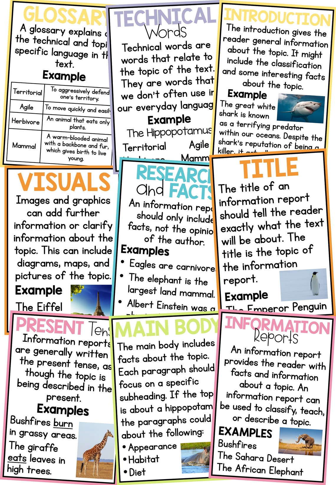 Information Text Posters Classroom Decor - Etsy